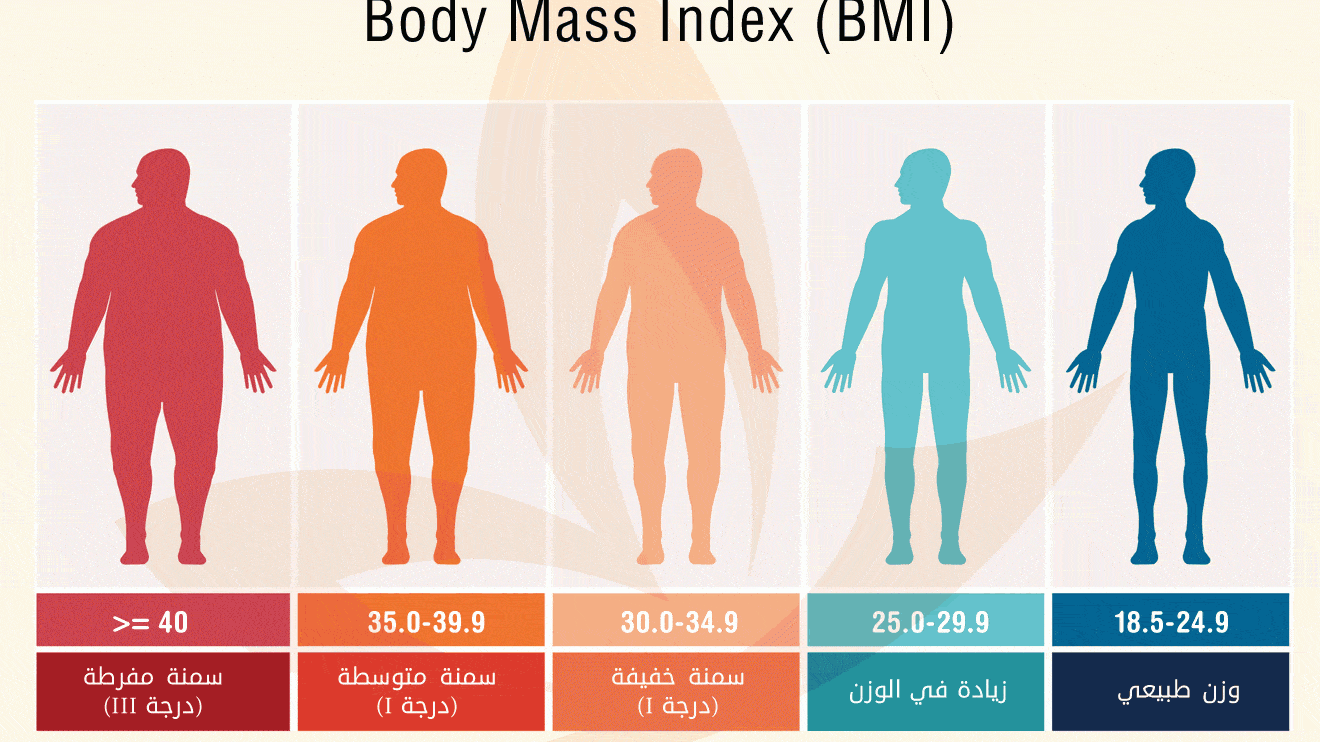 حاسبة وزن bmi كتلة الجسم بطريقة سهله - موسوعة